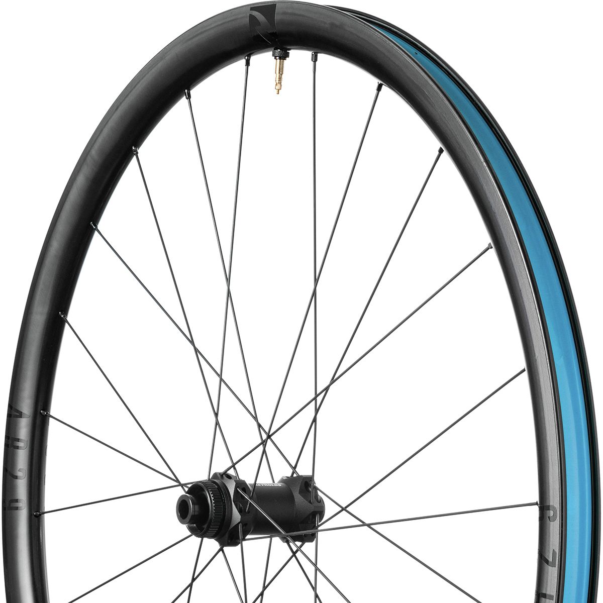Reynolds AR29 Carbon Disc Brake Wheelset - Tubeless - Bike