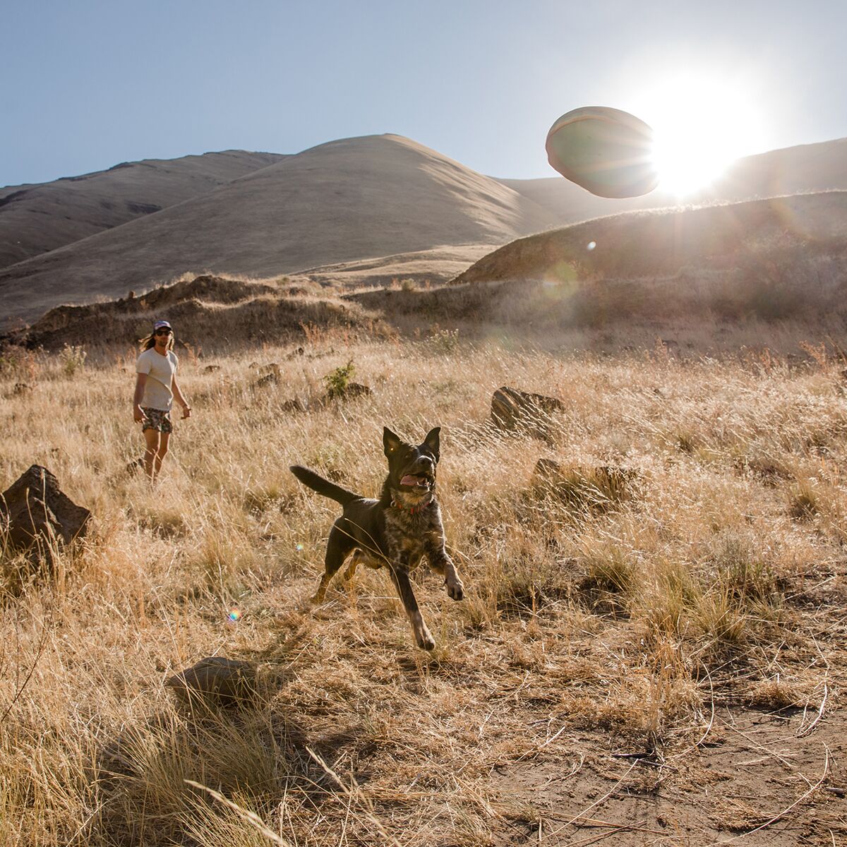 Ruffwear Hover Craft Dog Toy - Hike & Camp