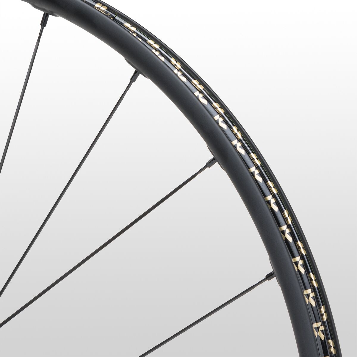 Reserve 25 GR DT 350 Tubless Wheelset - Bike
