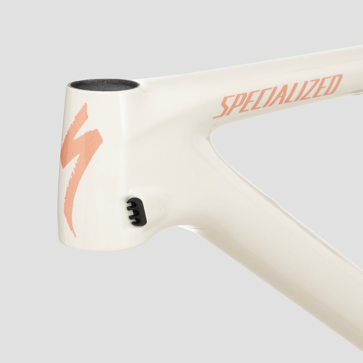 Specialized Epic EVO LTD Frame - Bike