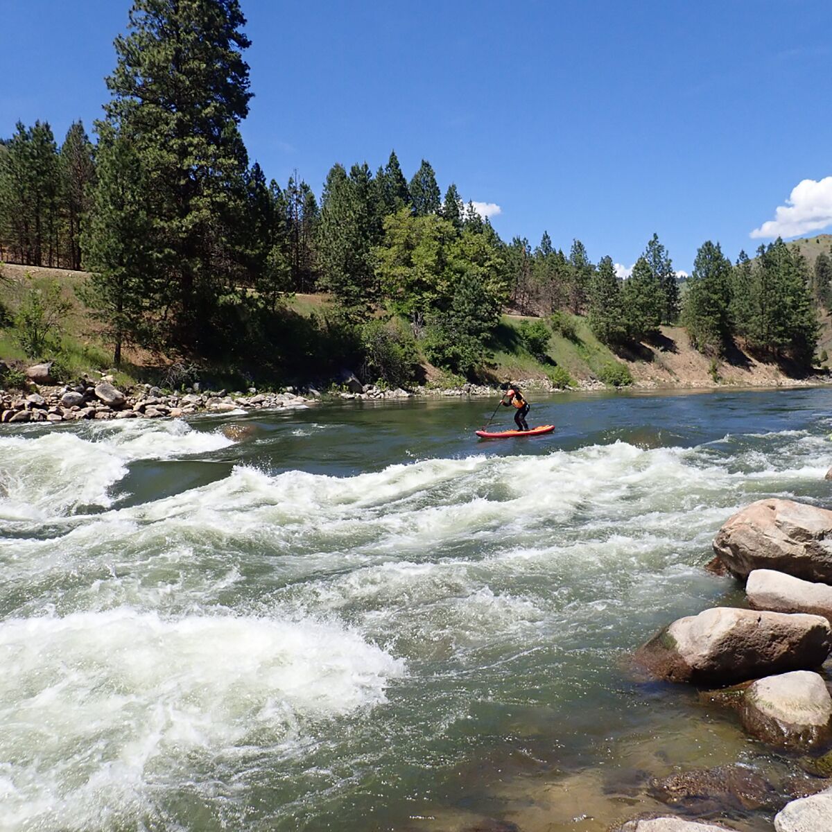 Salamander Paddle Gear Ensatina Whitewater SUP Board + FootHolds - Paddle