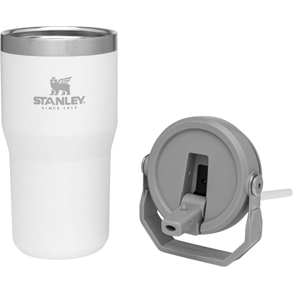Stanley IceFlow Flip Straw 20oz Tumbler | Backcountry.com