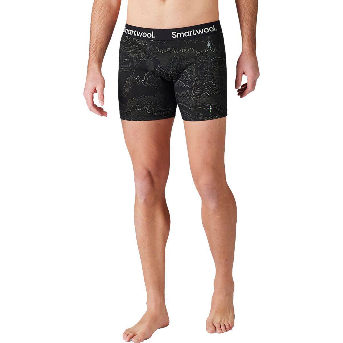 Smartwool Merino 150 Printed Boxer Brief - Men's - Clothing