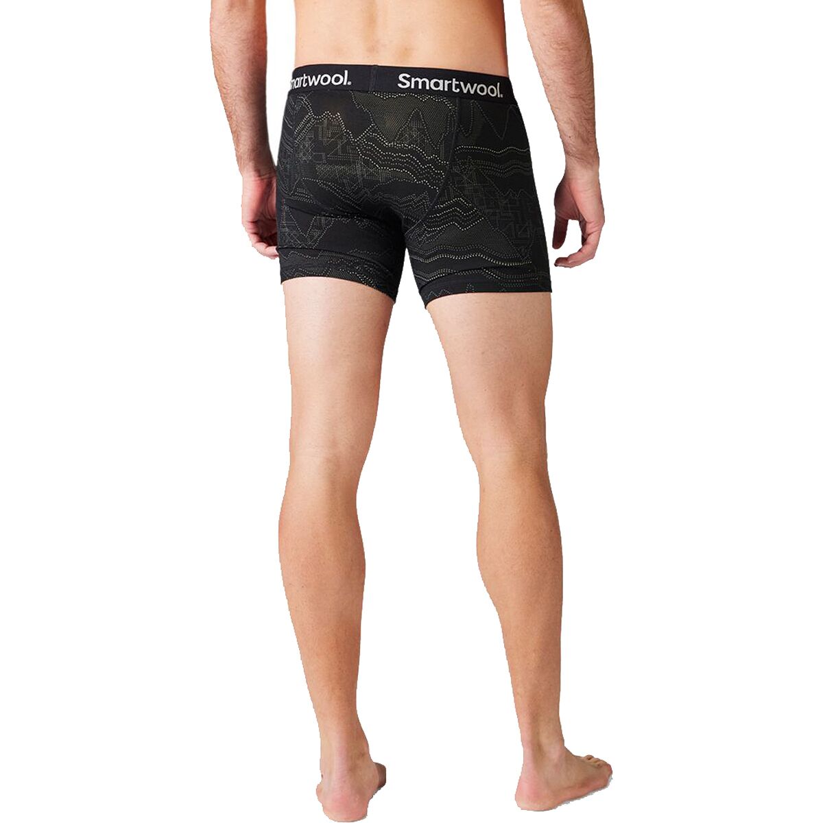 Smartwool Merino 150 Printed Boxer Brief - Men's - Clothing