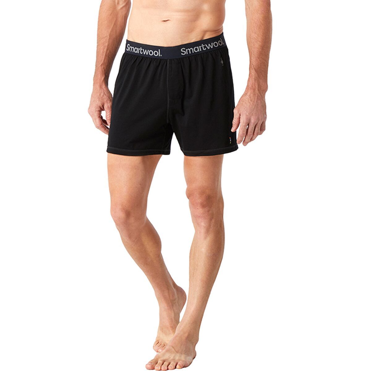 Smartwool Merino 150 Boxer - Men's - Clothing