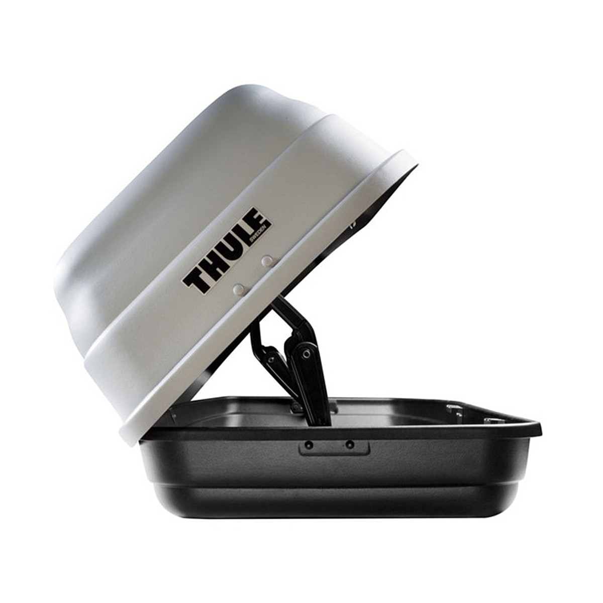 Thule Sidekick Cargo Box - Ski