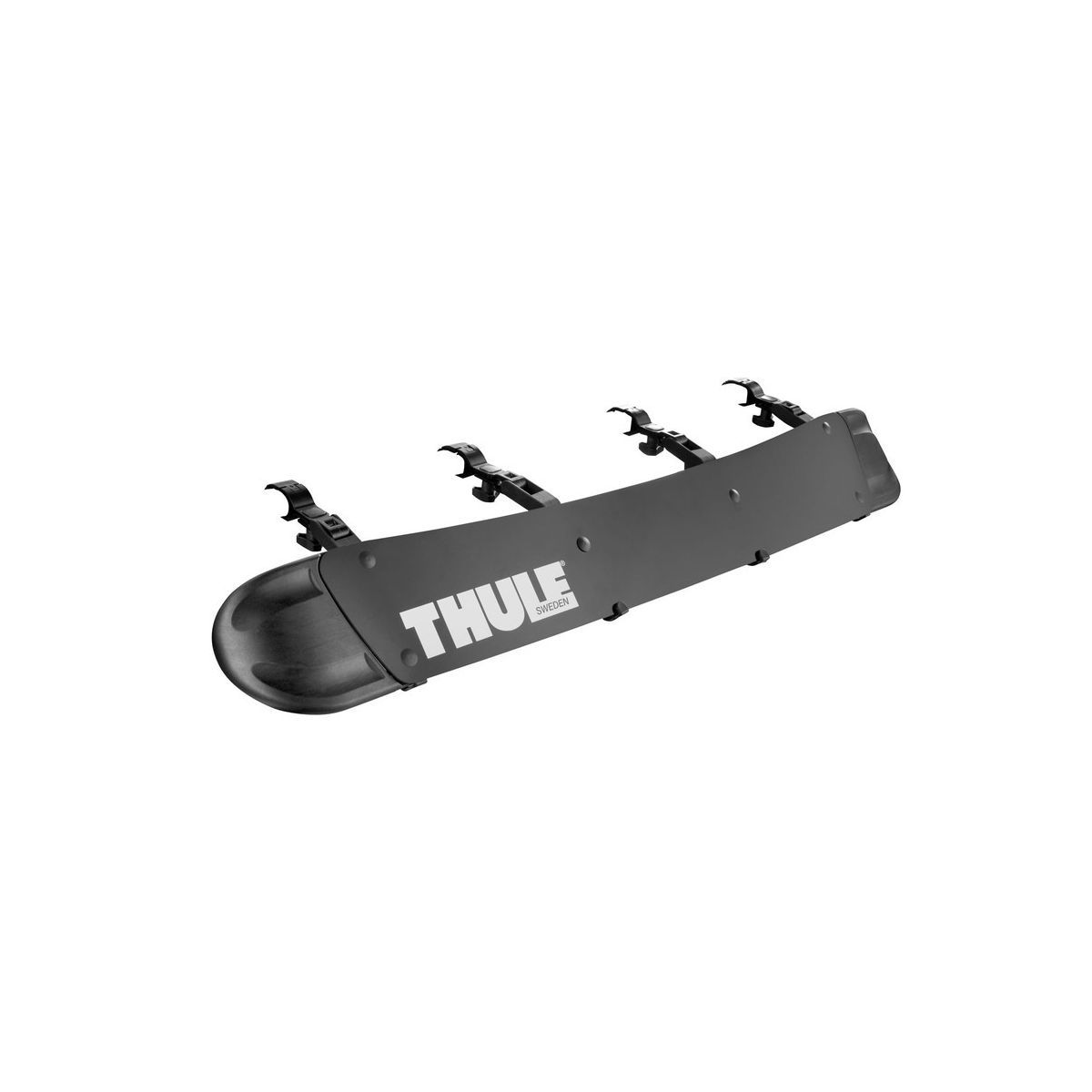 Thule Fairings - Ski