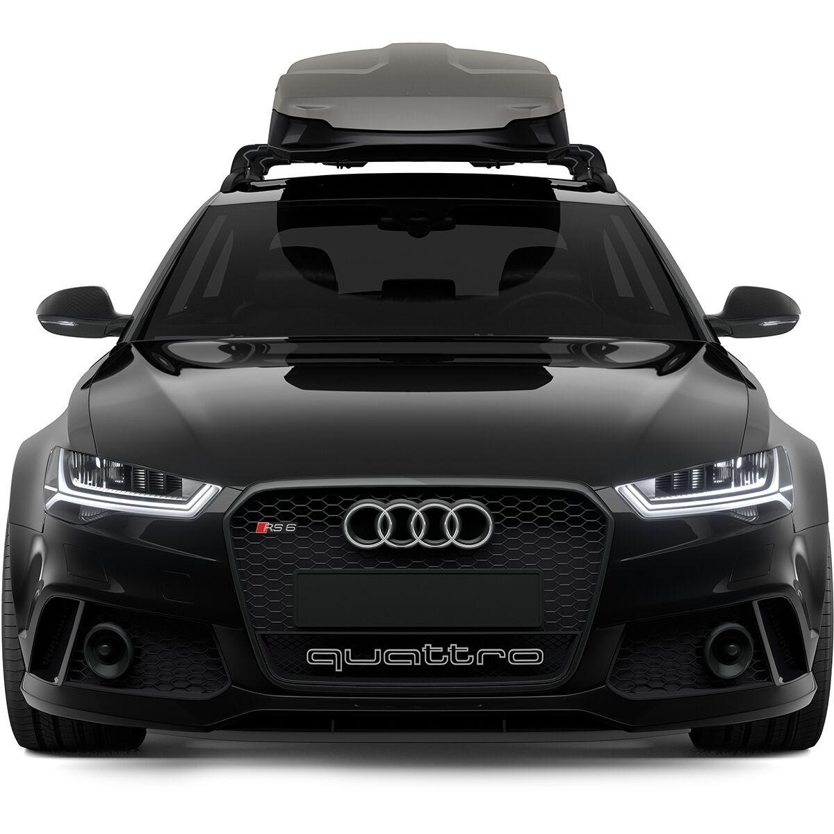 Thule Vector Alpine Cargo Box - Ski
