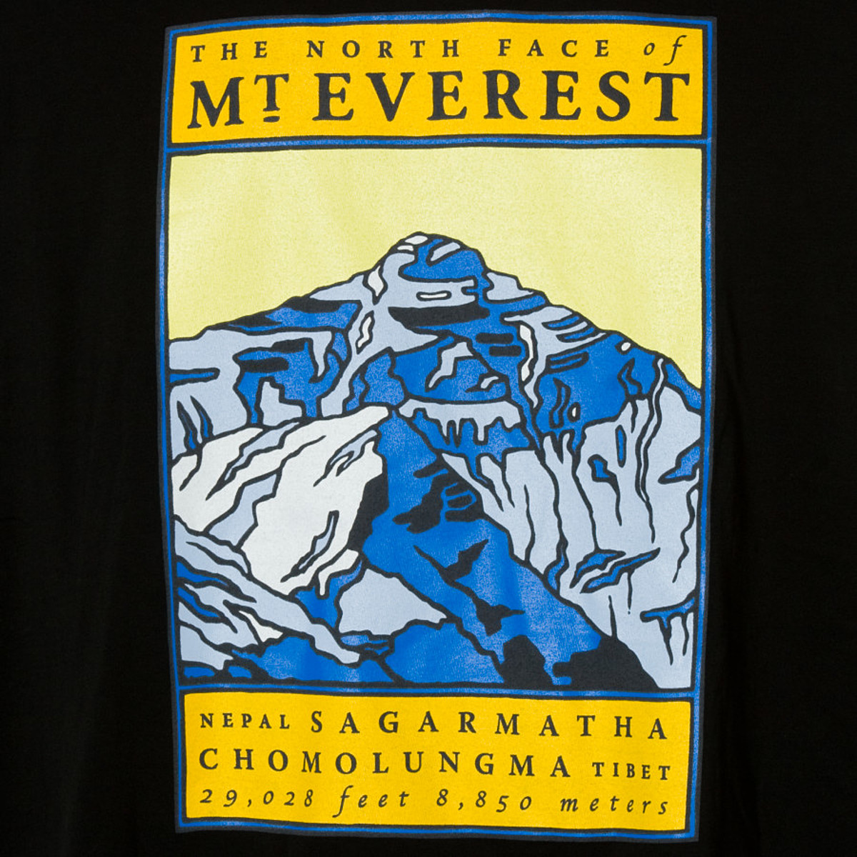 The North Face Everest T-Shirt - Short-Sleeve - Men's - Clothing