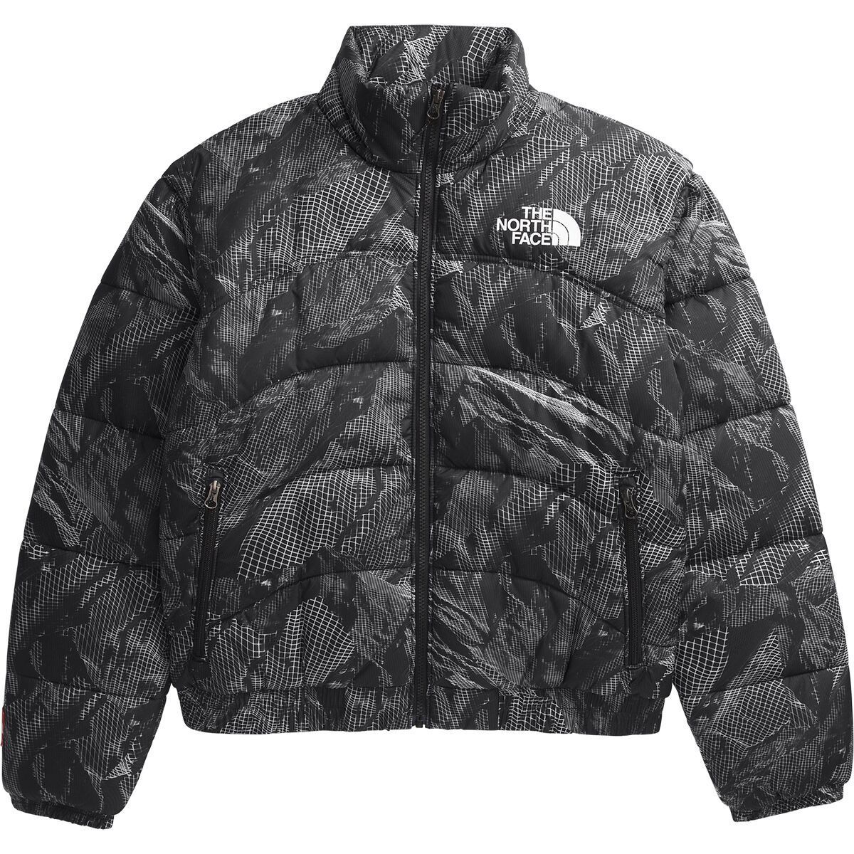 The North Face TNF Jacket 2000 - Men's - Clothing