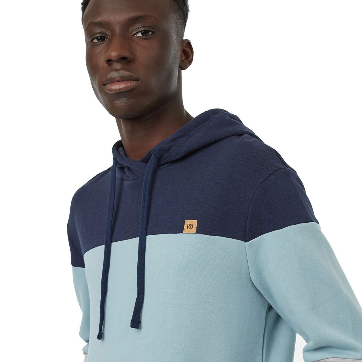 Tentree TreeFleece Blocked Reynard Hoodie - Men's - Clothing