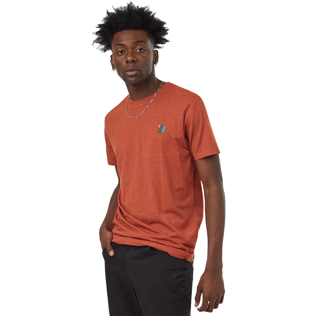 Tentree Sasquatch T-Shirt - Men's - Clothing