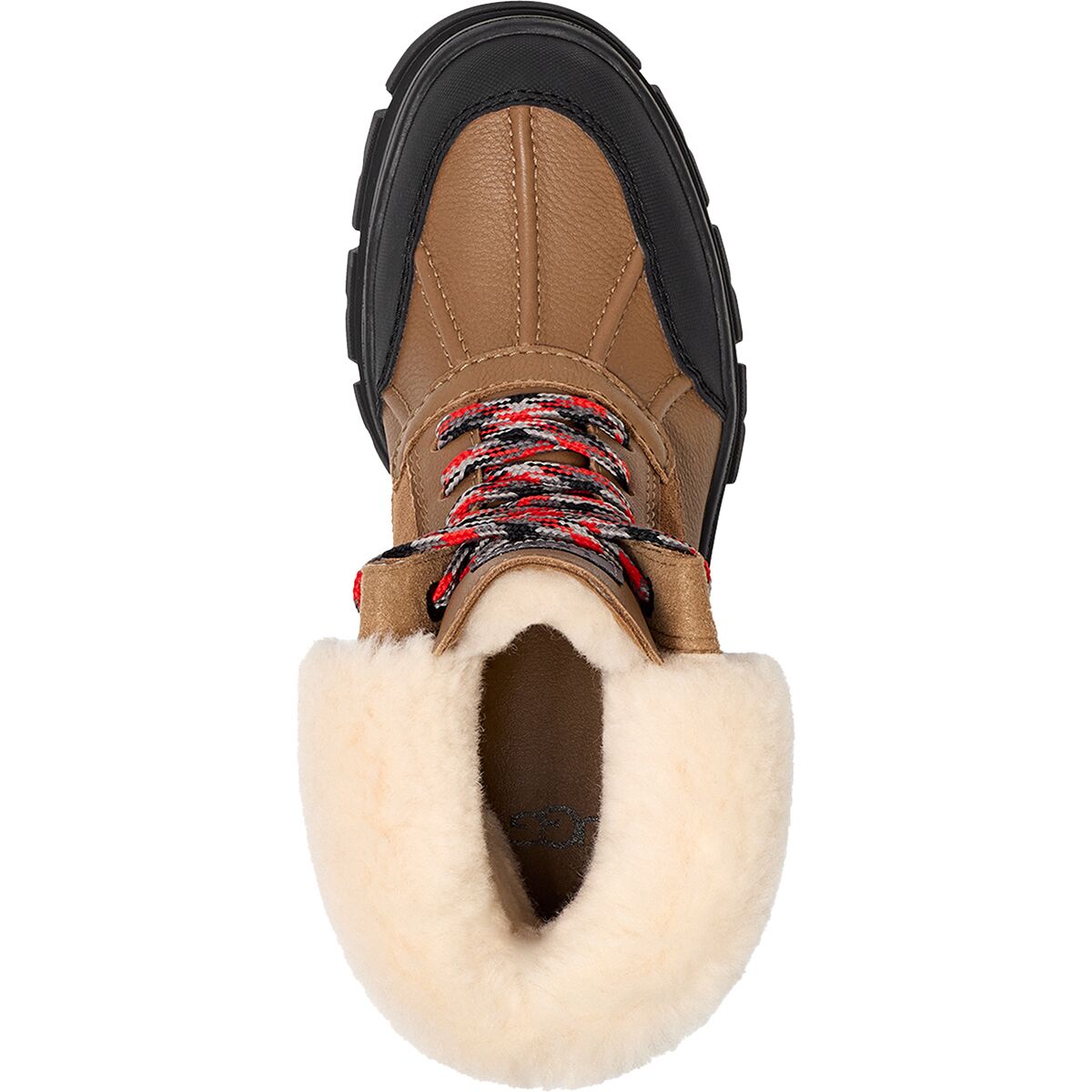 UGG Ashton Addie Boot - Women's - Footwear