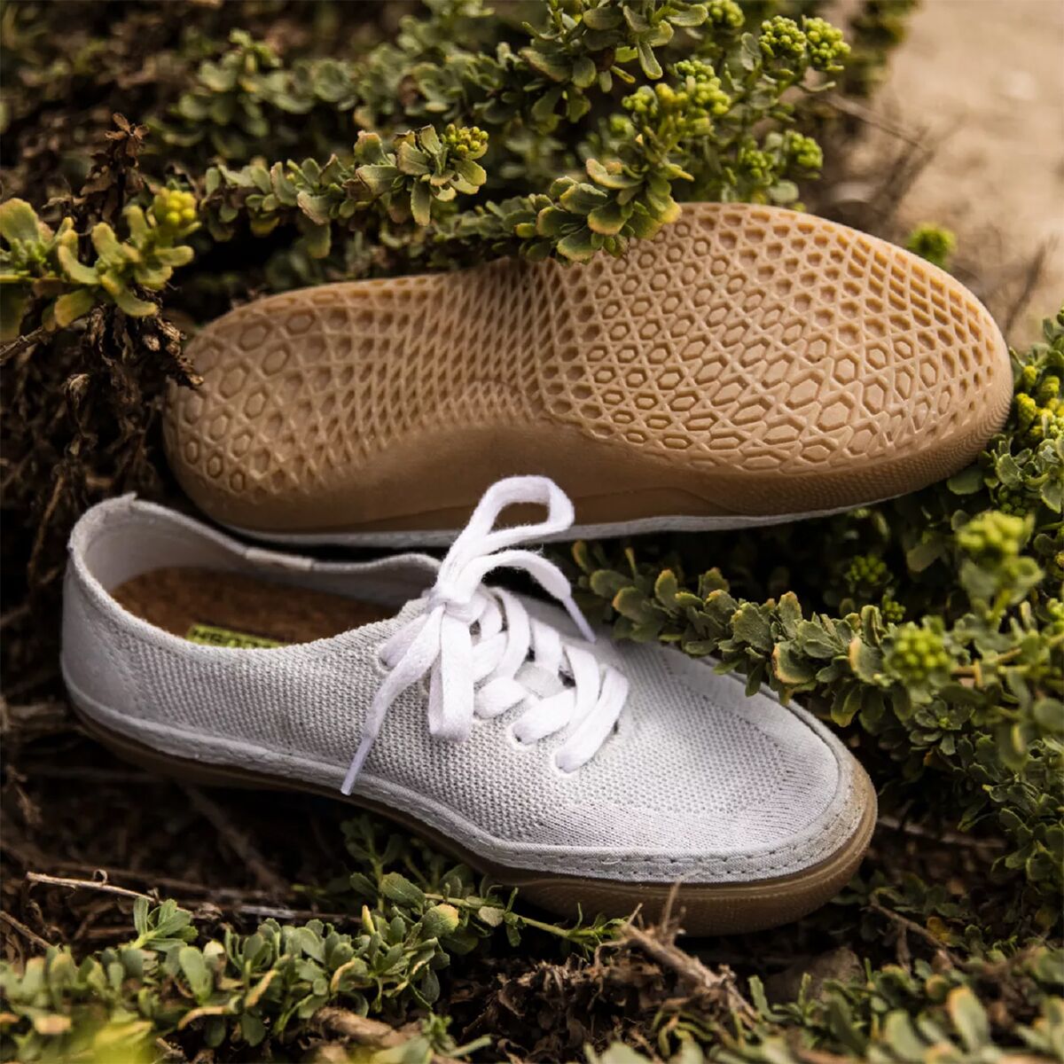 Vans Circle Vee Shoe - Women's - Footwear