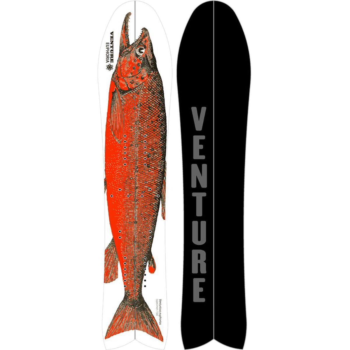 Venture Snowboards Euphoria Splitboard - Snowboard