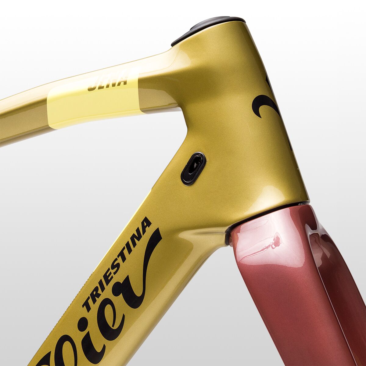 Wilier Jena Gravel Frameset - Bike