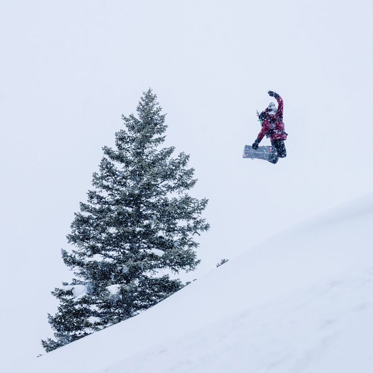 Weston Backwoods Carbon Splitboard - 2022 - Snowboard