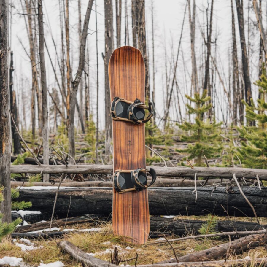Arbor Element 25th Anniversary Koa Camber Snowboard | Backcountry.com