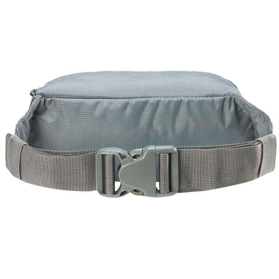DAKINE Classic Hip Pack | Backcountry.com