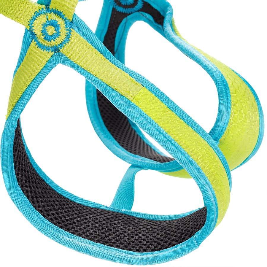 Edelrid Fraggle II Full Body Harness - Kids' | Backcountry.com