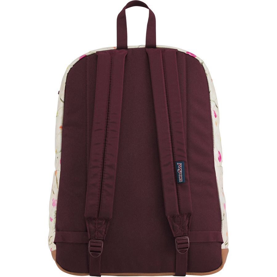 JanSport High Rise 25L Backpack | Backcountry.com