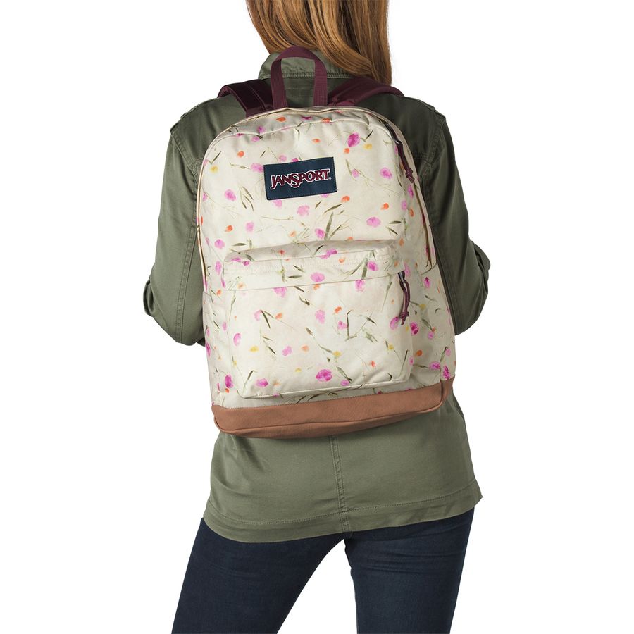 JanSport High Rise 25L Backpack | Backcountry.com