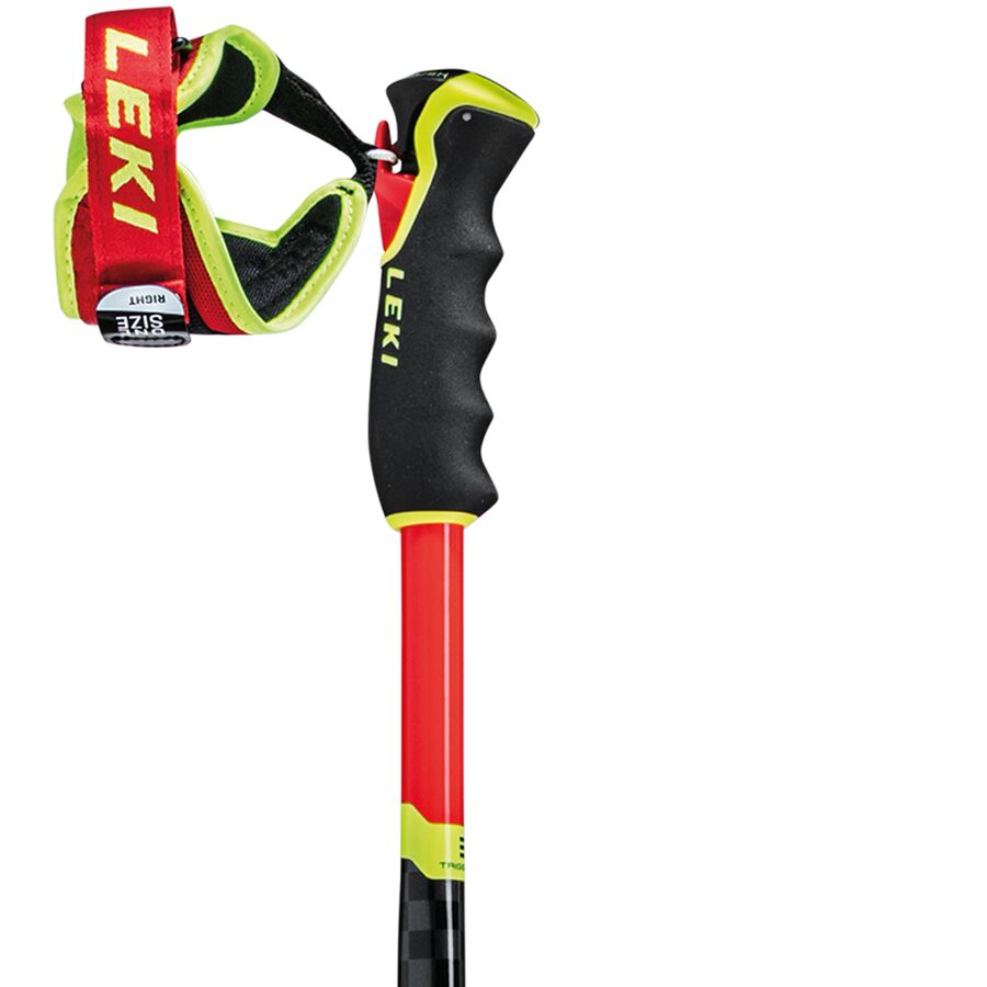 LEKI WCR GS 3D Ski Poles | Backcountry.com