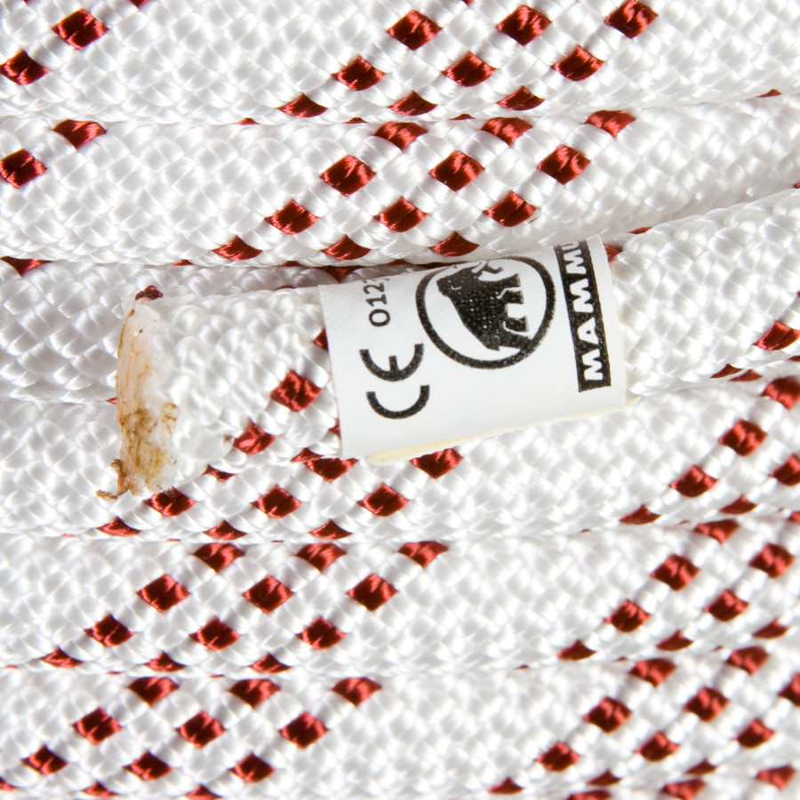 Mammut Performance Static Canyoneering Rope - 10.5mm | Backcountry.com