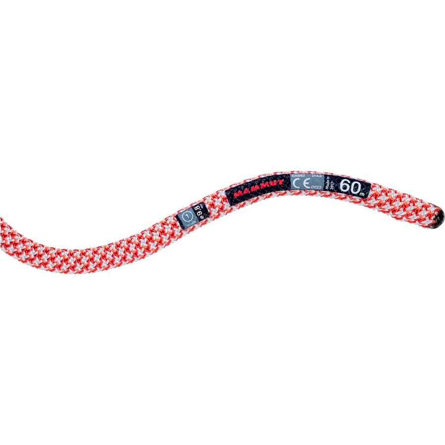 Mammut Eternity Classic Climbing Rope - 9.8mm | Backcountry.com