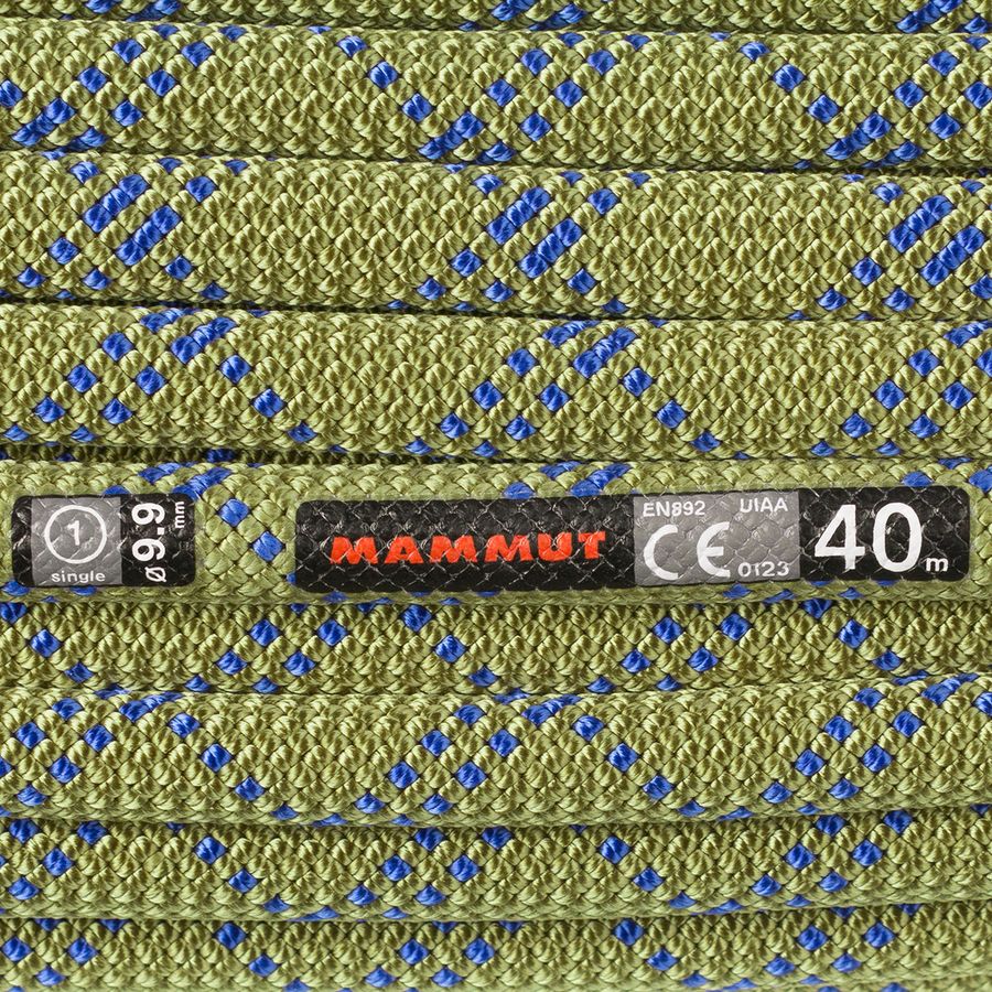 Mammut Gym Classic Climbing Rope - 9.9mm | Backcountry.com