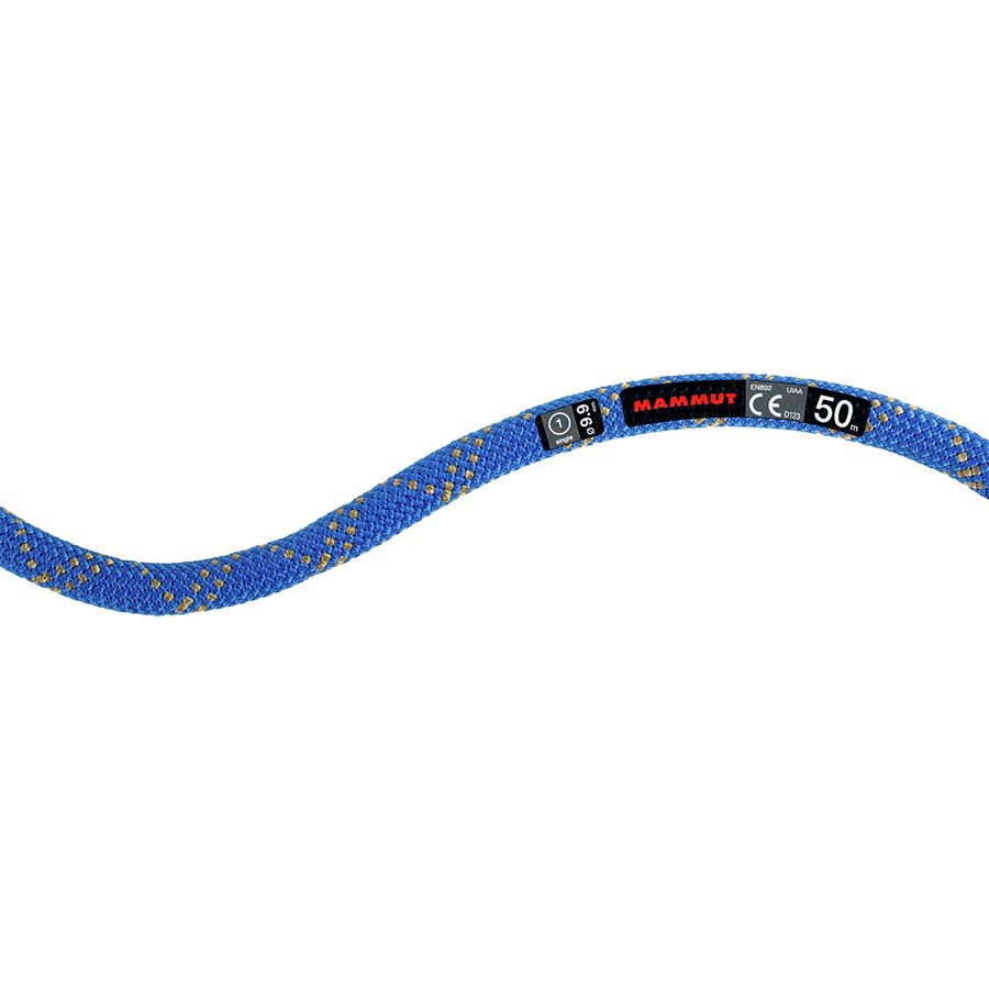 Mammut Gym Classic Climbing Rope - 9.9mm | Backcountry.com
