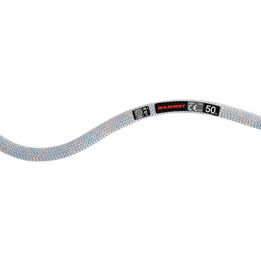 Mammut Gym Classic Climbing Rope - 9.9mm | Backcountry.com