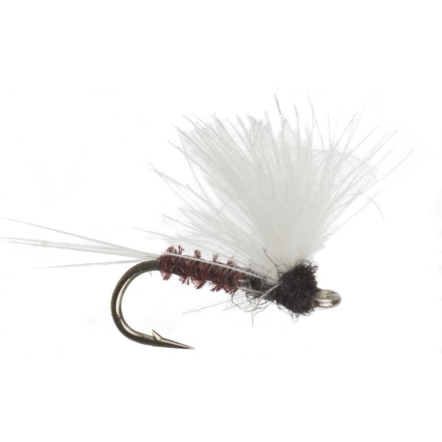 Montana Fly Company CDC Comparadun - 6-Pack - Fishing