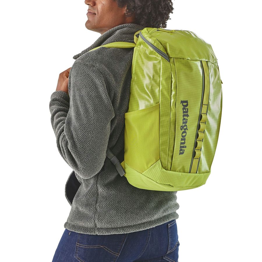 Patagonia Black Hole 25L Backpack | Backcountry.com