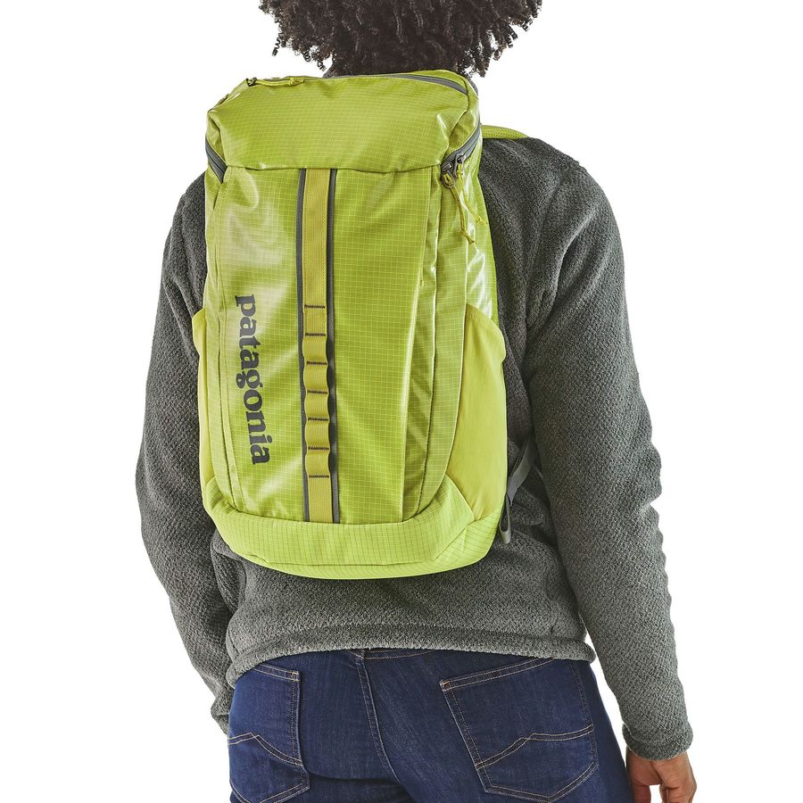 Patagonia Black Hole 25L Backpack | Backcountry.com