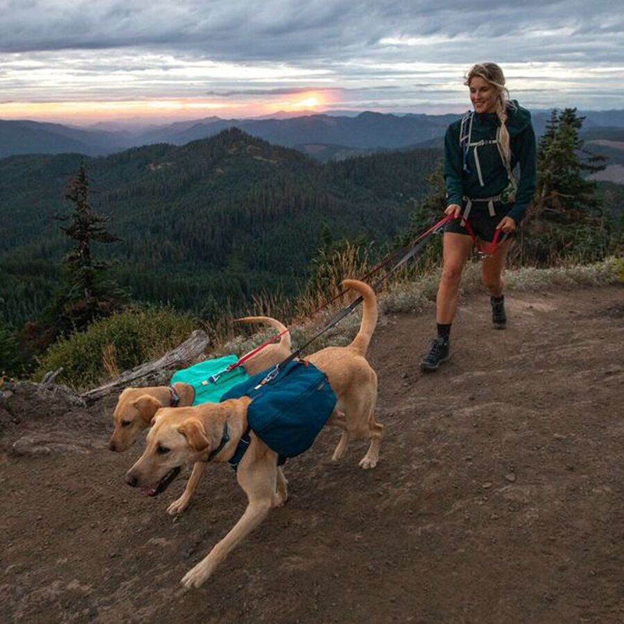 Ruffwear Front Range Day Pack | Backcountry.com