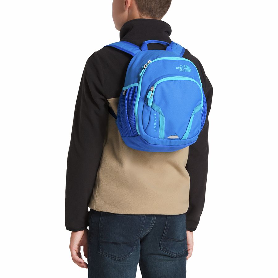 The North Face Sprout 10L Backpack - Kids' | Backcountry.com