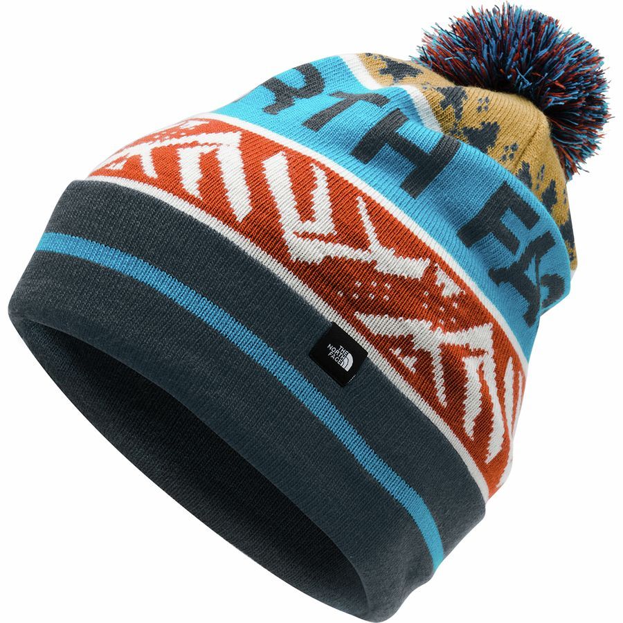 The North Face Ski Tuke V Beanie | Backcountry.com