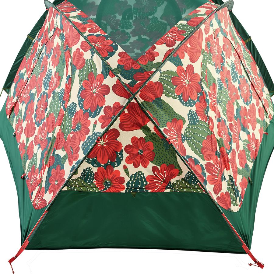 The North Face Homestead Domey 3 Tent: 3-Person 3-Season | Backcountry.com