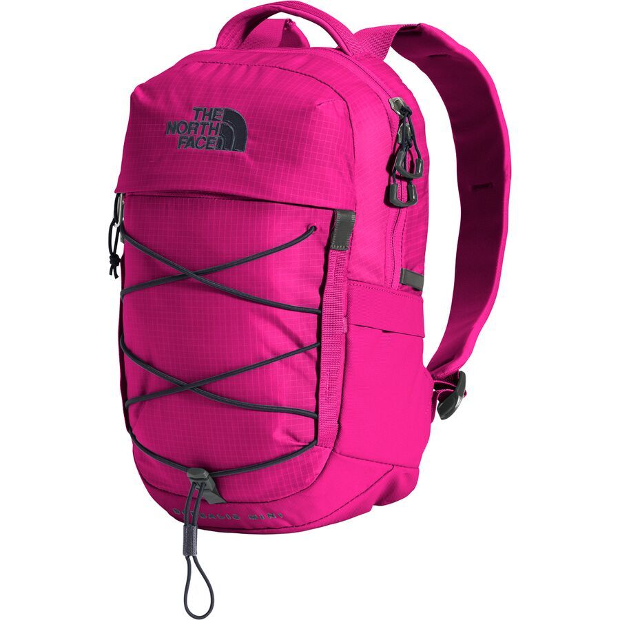 The North Face Borealis Mini 10L Backpack - Accessories