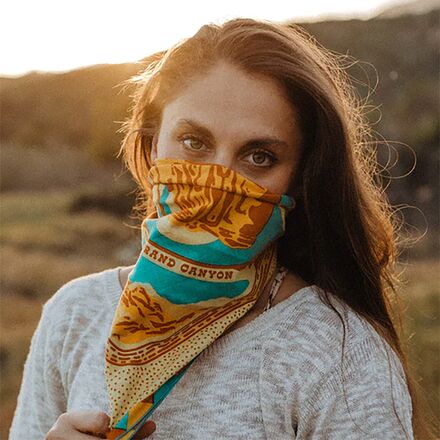 Bandits Bandanas Southwest Monuments Bandana - Accessories