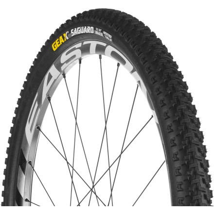 Geax Saguaro Tire - Tubular - Bike