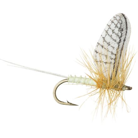 Montana Fly Company Dunnigan's Dunn Dunn - 12 Pack - Fishing