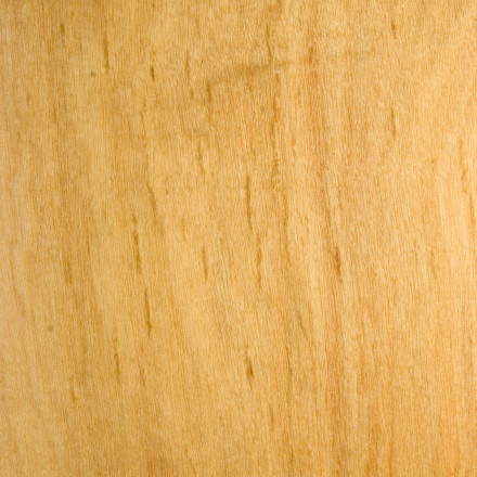 Surftech Yater Squash UKO Surfboard - Surf