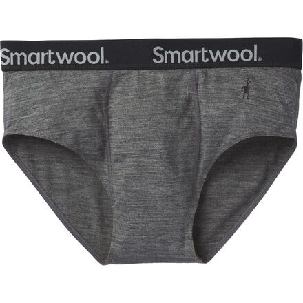 Smartwool Merino Sport 150 Brief Underwear - Men's