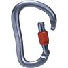 Black Diamond RockLock Screwgate Carabiner | Backcountry.com