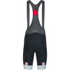 Castelli Entrata Limited Edition Bib Short - Men's | Backcountry.com