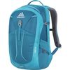 Gregory Sigma 28L Backpack - Women's | Backcountry.com
