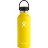 Hydro Flask 18oz Standard Mouth Water Bottle | Backcountry.com