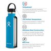Hydro Flask 24oz Standard Mouth Water Bottle | Backcountry.com